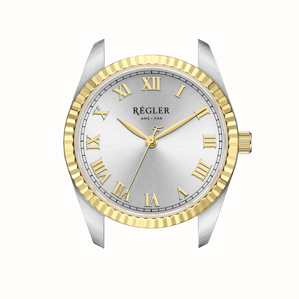 Régler Infinité Watch Case Bi-Colour Silver/Gold - Silver
